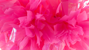 Cheer & Dance Pom Poms – Custom & Quick Ship | Pom Express